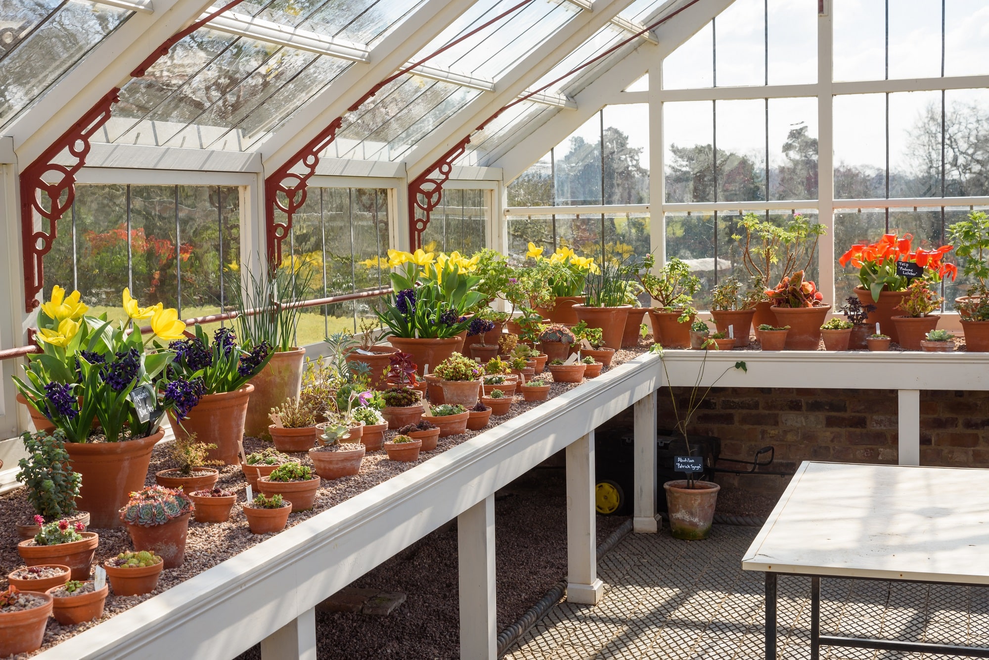 22 Small Conservatory Ideas To Enhance Your Space - Within Home