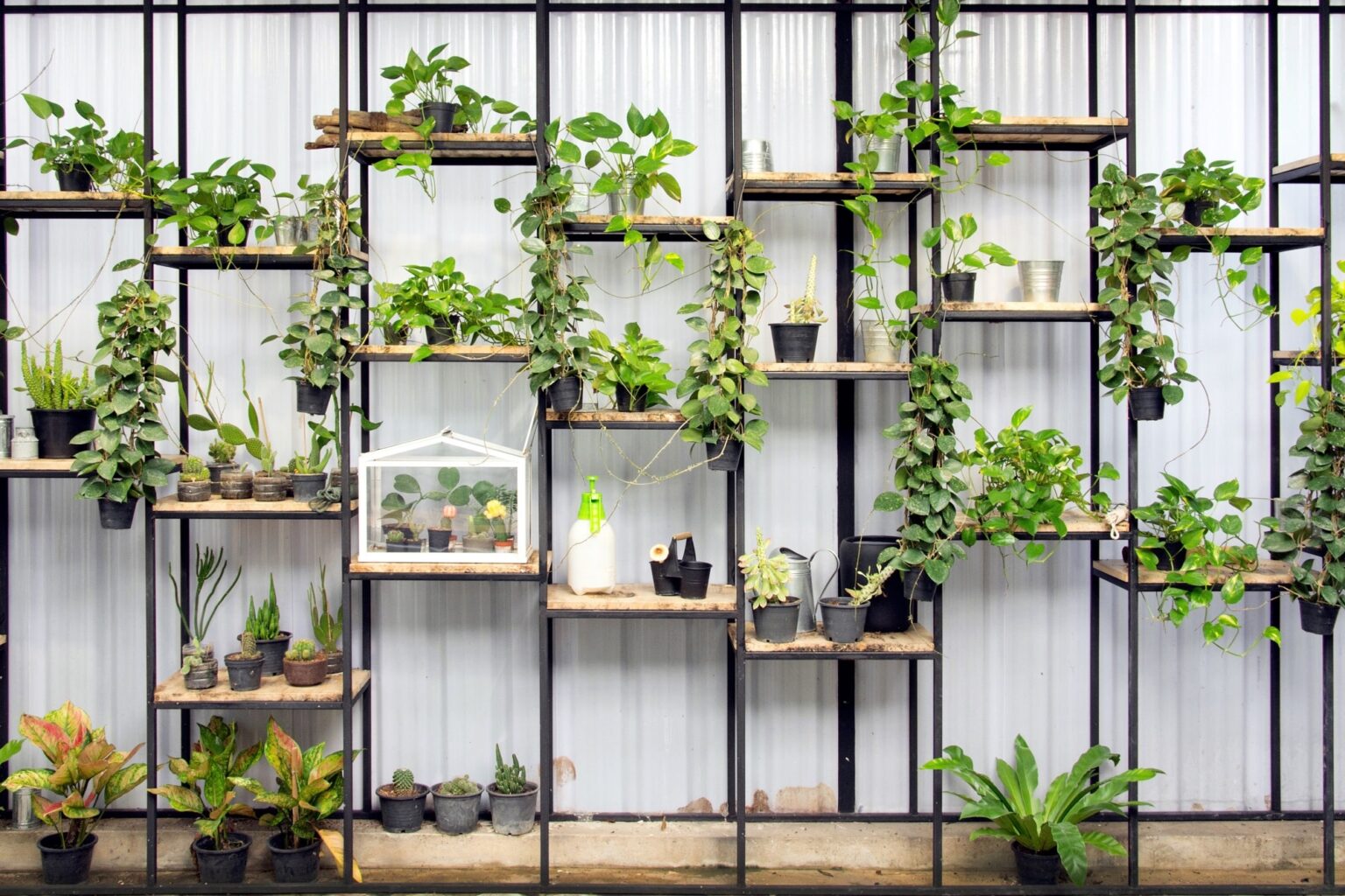 22 Small Conservatory Ideas To Enhance Your Space - Within Home